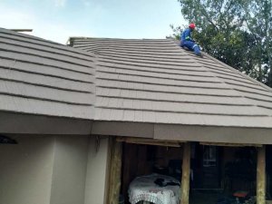 Gallery - Harvey Tiles_Competitor_SA's Leading Thatch Tile Solution ...